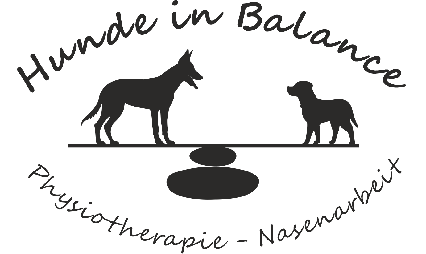 Hunde in Balance - GALERIE
